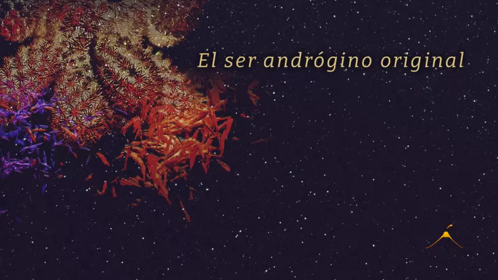 El ser andrógino original - Casa Volcan