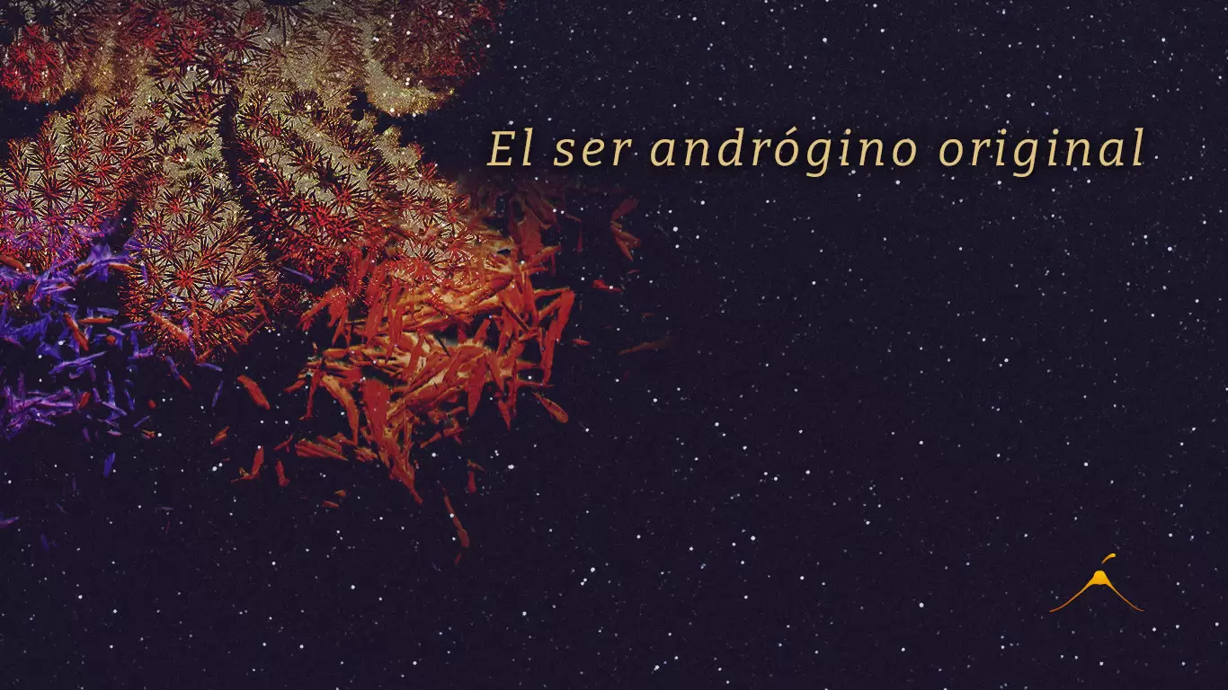 El ser andrógino original - Casa Volcan
